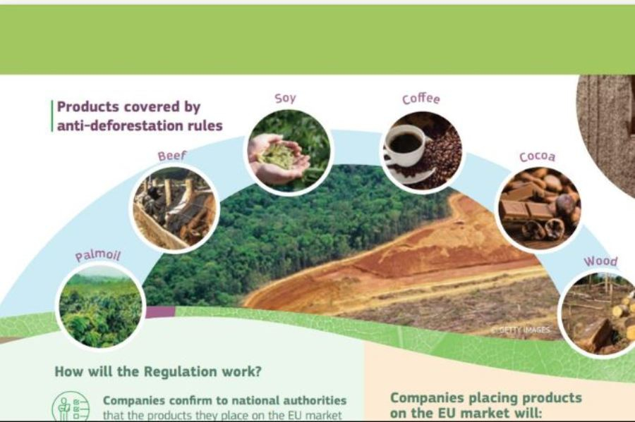 - General News - Welcome to Dong Tien Paper